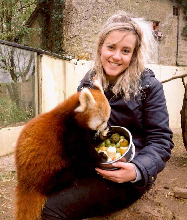 The Red Panda Experience launched - Paradise Park
