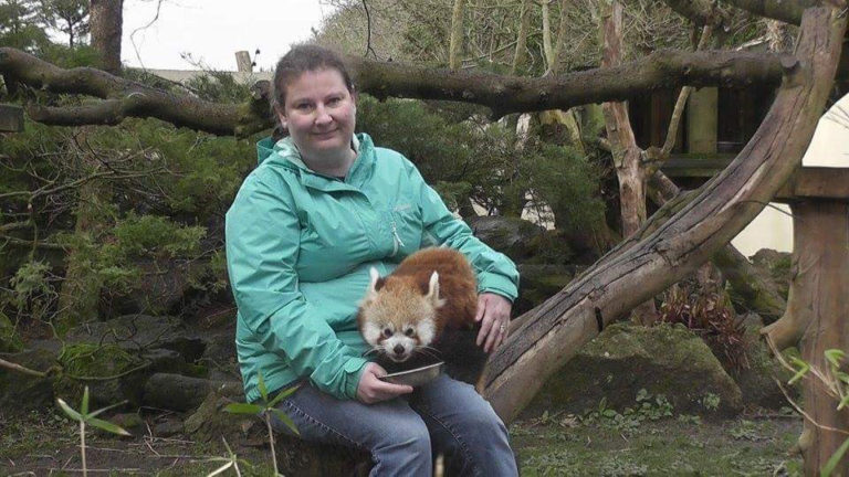 The Red Panda Experience - Paradise Park