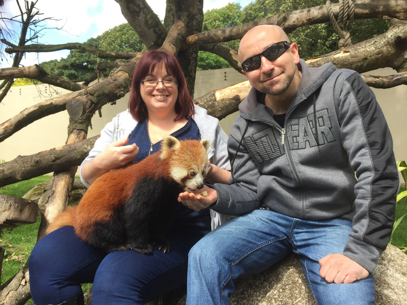 What People Say about the Red Panda Experience - Paradise Park