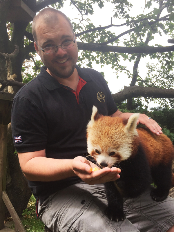 What People Say about the Red Panda Experience - Paradise Park