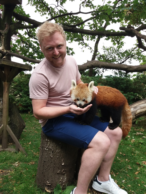 What People Say about the Red Panda Experience - Paradise Park