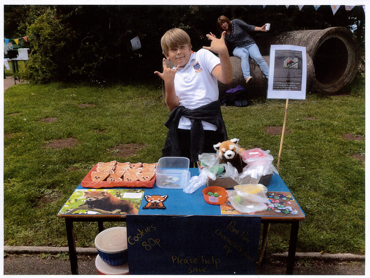 Alex fundraises at School for Red Pandas! - Paradise Park