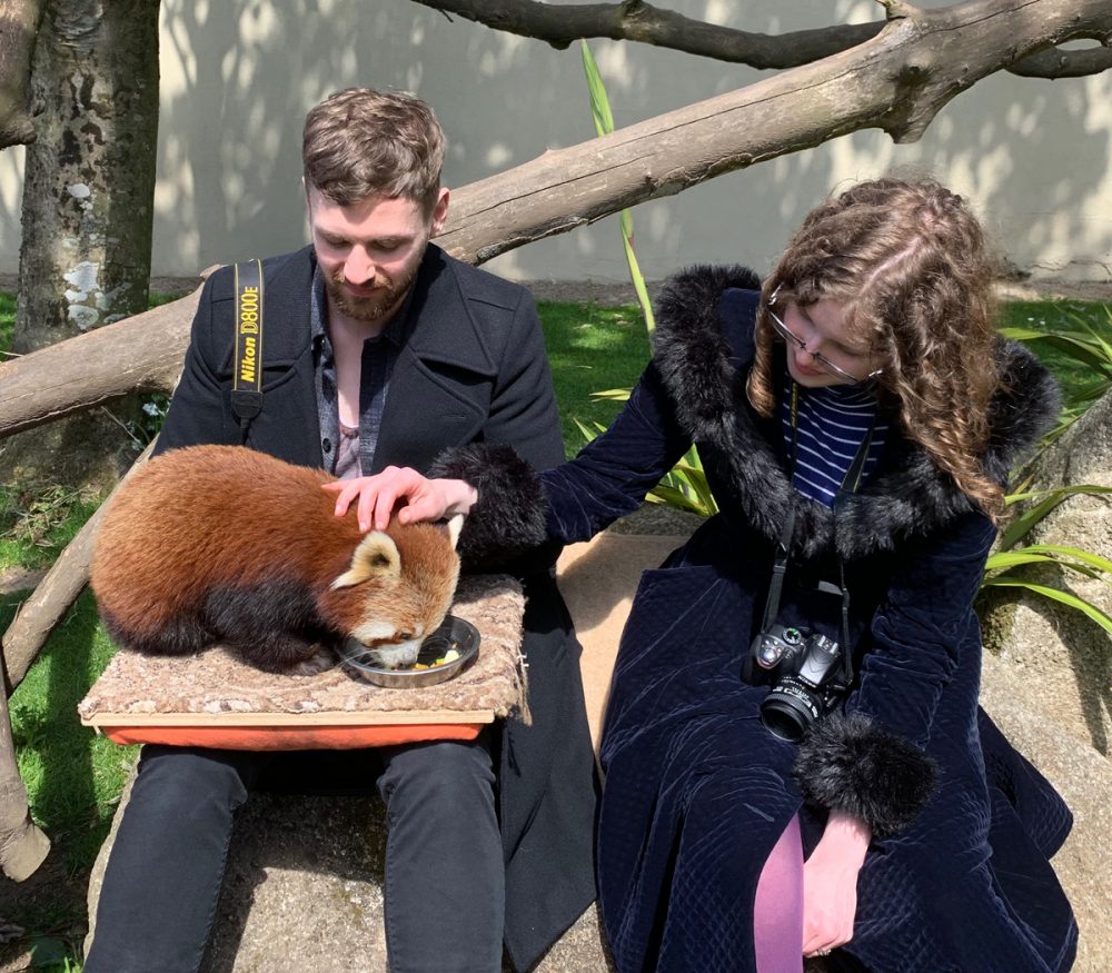 The Red Panda Experience - Paradise Park