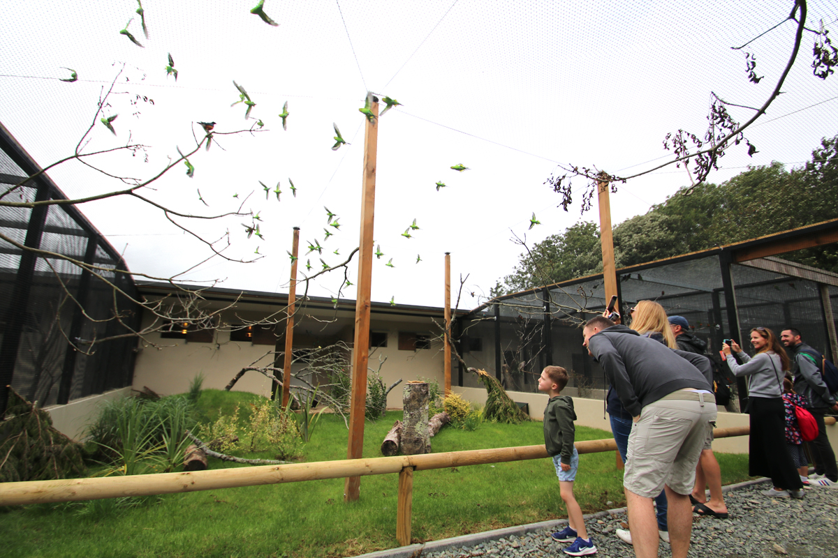 The Tropics exhibit and Walk Through Aviary - Paradise Park