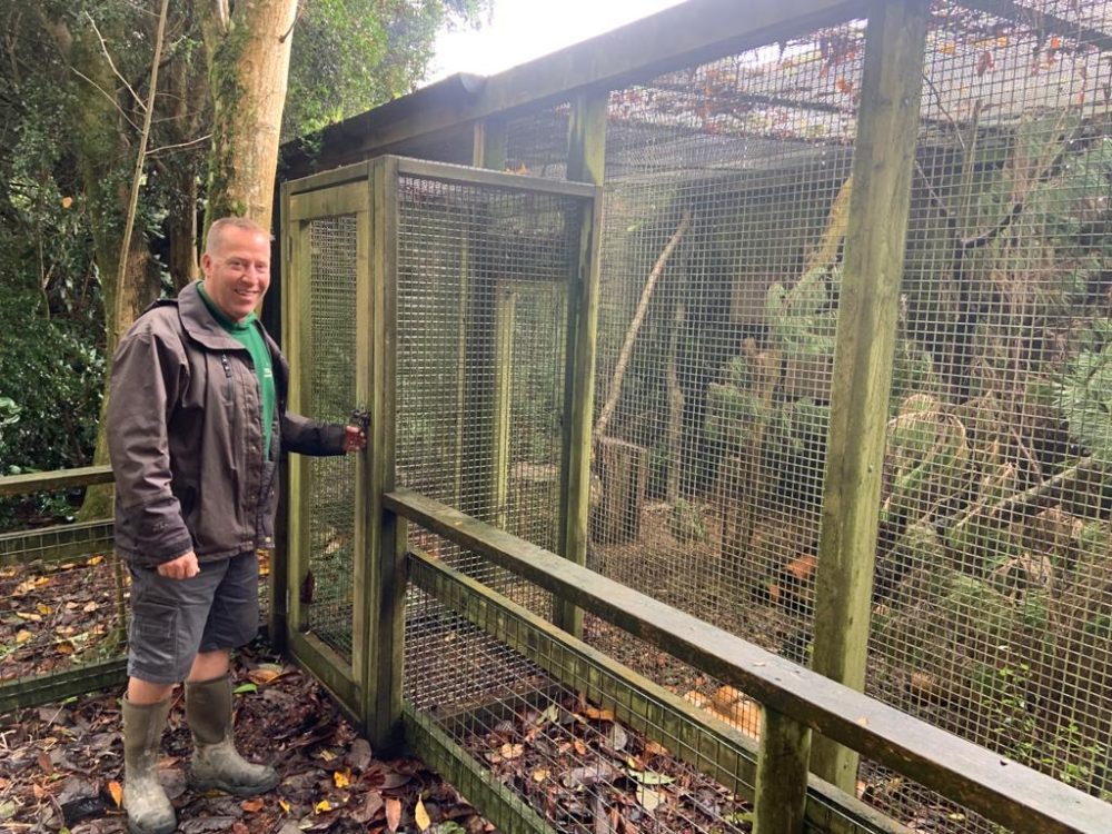 The Red Squirrel Project Cornwall - Paradise Park