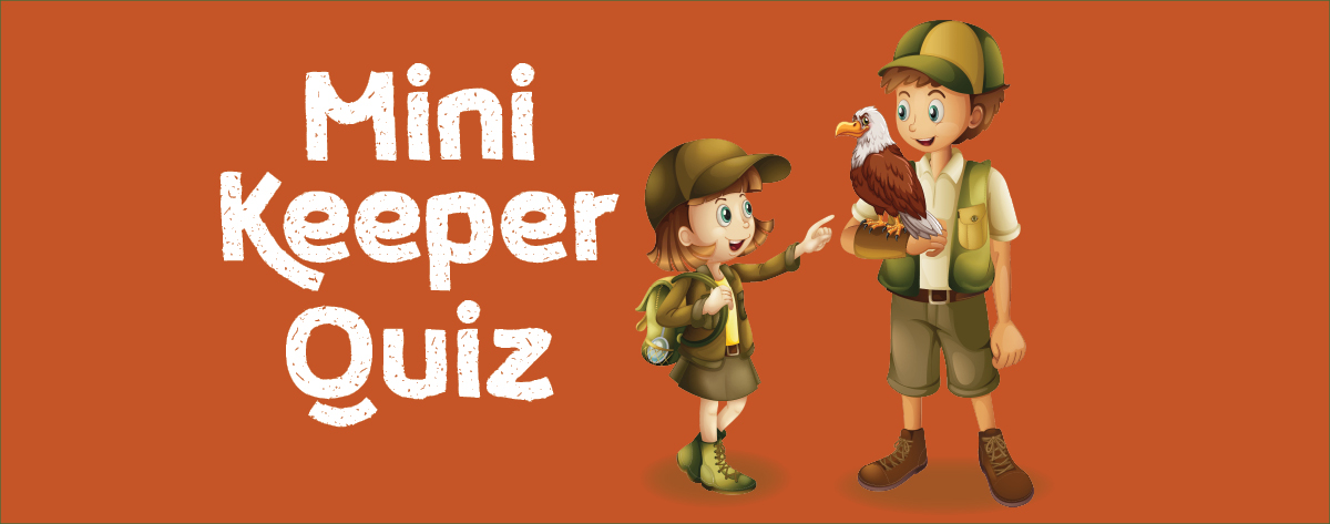 Mini Keeper Quiz - Paradise Park