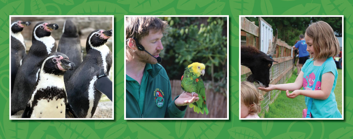 Daily events and quizzes to enjoy throughout the year