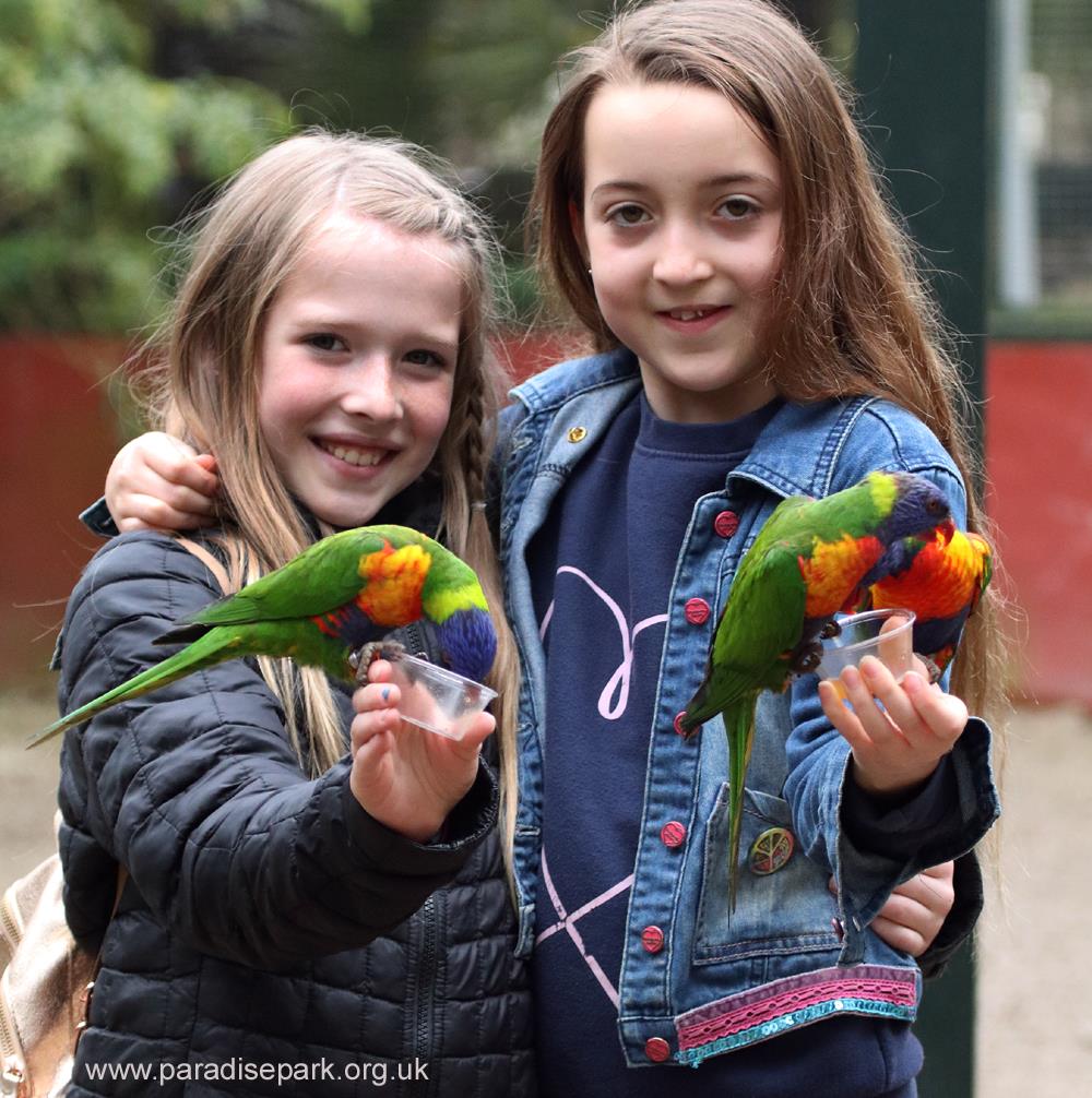 Parrots of Paradise Summer Quiz - Paradise Park