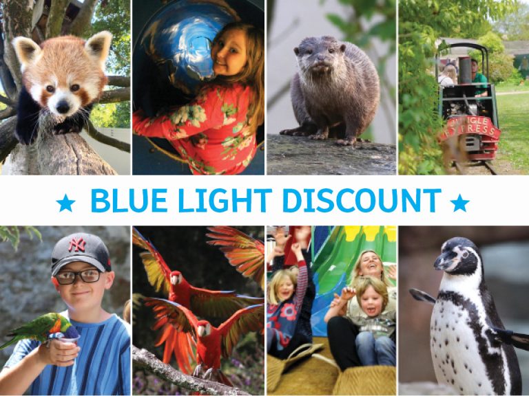Blue Light Discount - Paradise Park
